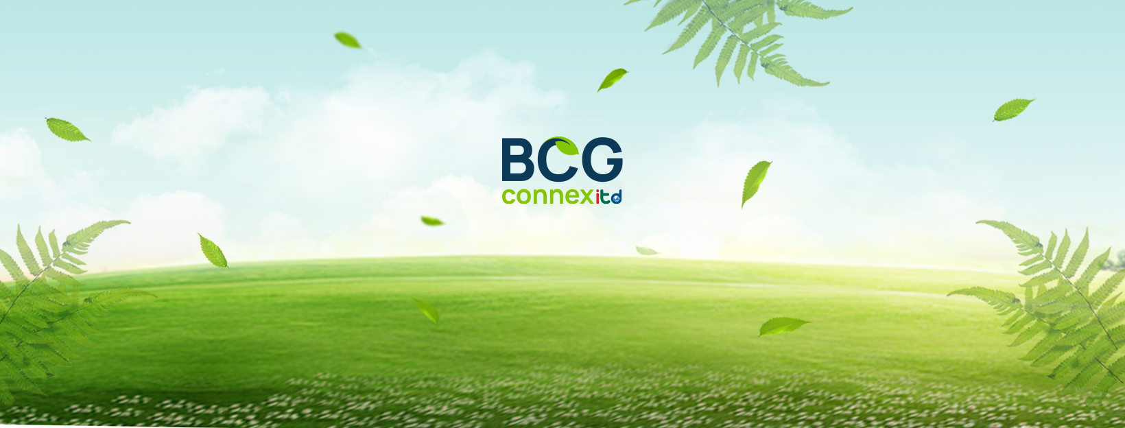 BCG CONNEX